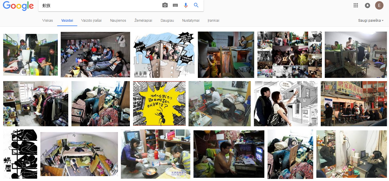 Dėstytojas nuovadoje: Ants and Ant tribe