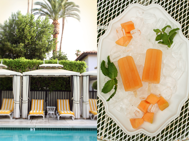 Baking Bird Test Kitchen: Summer Spa Popsicles!