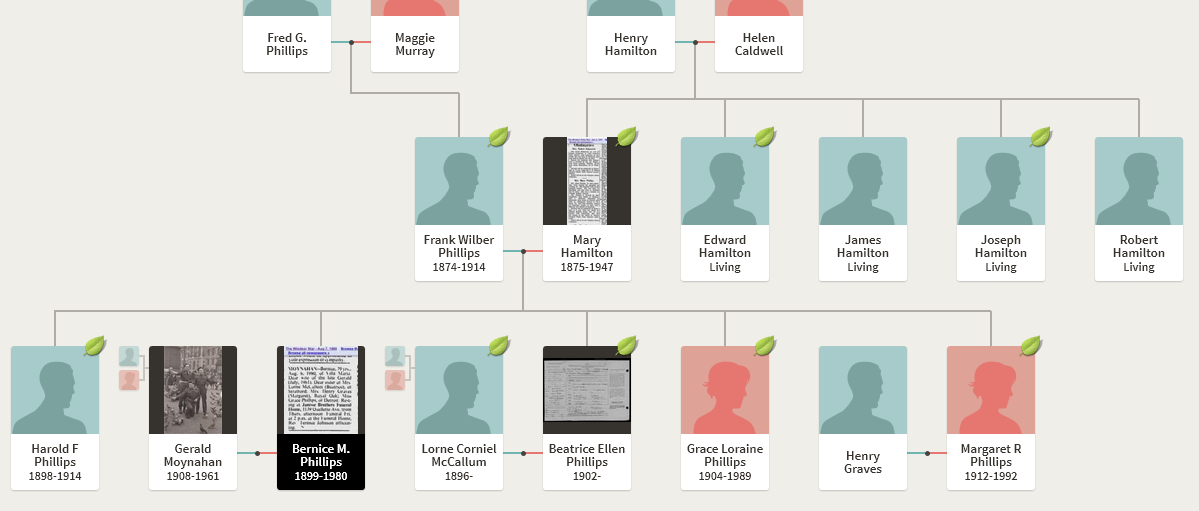 My Moynahan Genealogy Blog: November 2017