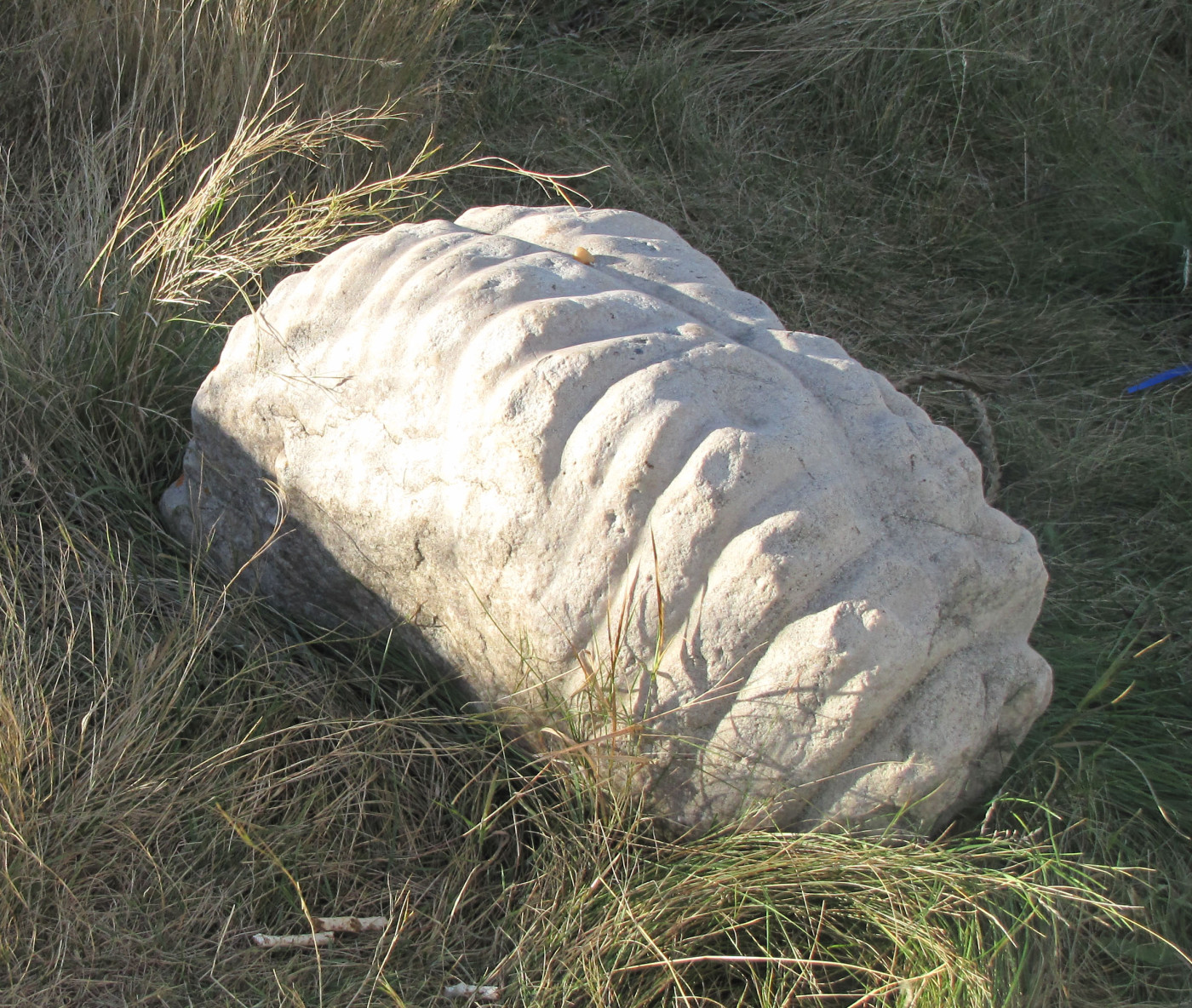 Skinner's Room: Alberta Ribstones