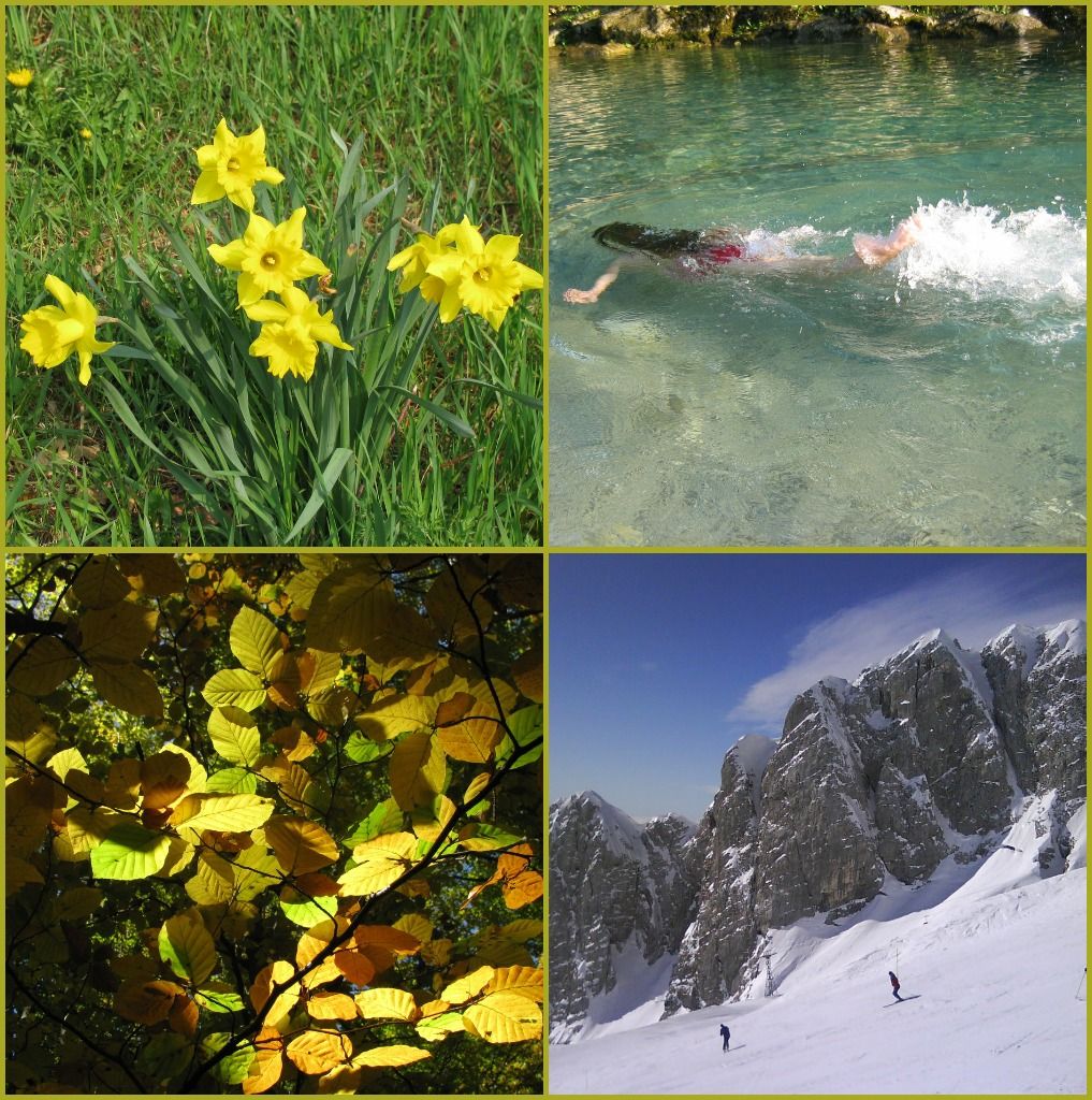 niti za srečo: Letni časi - haiku