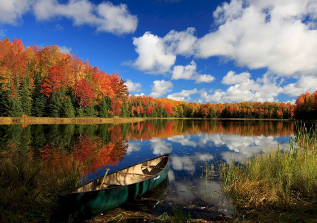 Cairn Cottage: A Visit to Detroit and Some Fall Foliage