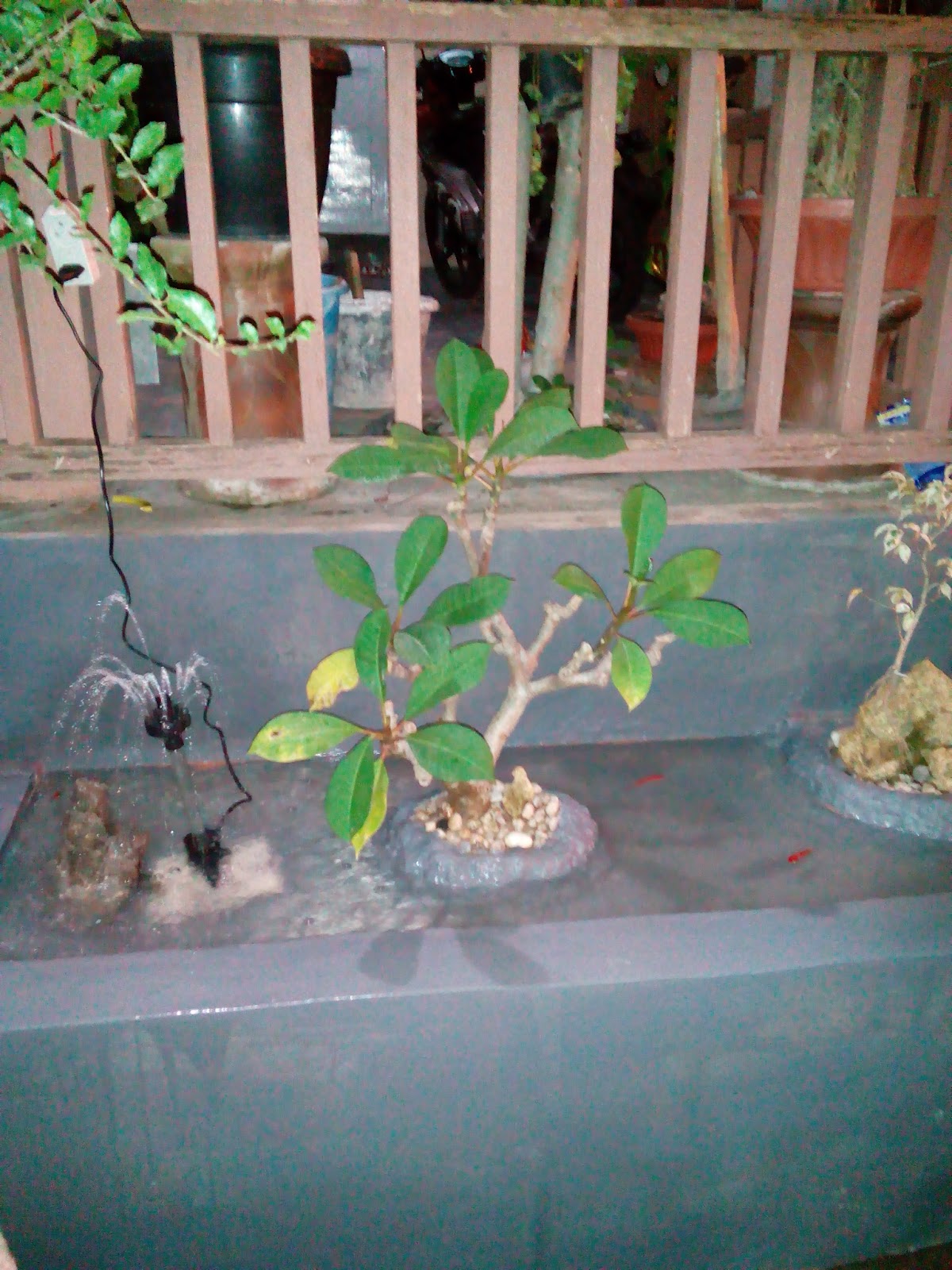 √ Cara Mudah dan Murah Membuat Kolam Ikan Minimalis | YUK SIMAK √ Cara Mudah dan Murah Membuat Kolam Ikan Minimalis | YUK SIMAK