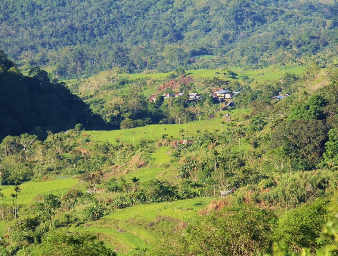 An Igorot Journey: The Natonin Sas-alliwa