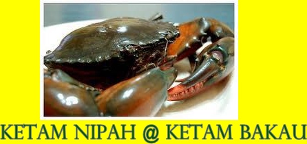 Laman Pengail: RAHSIA KETAM NIPAH