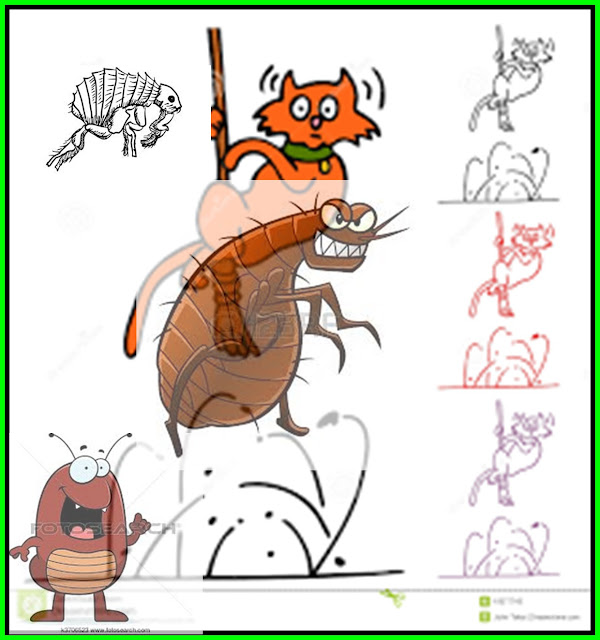 Dein Floh - mein Floh - unsere Flöhe.