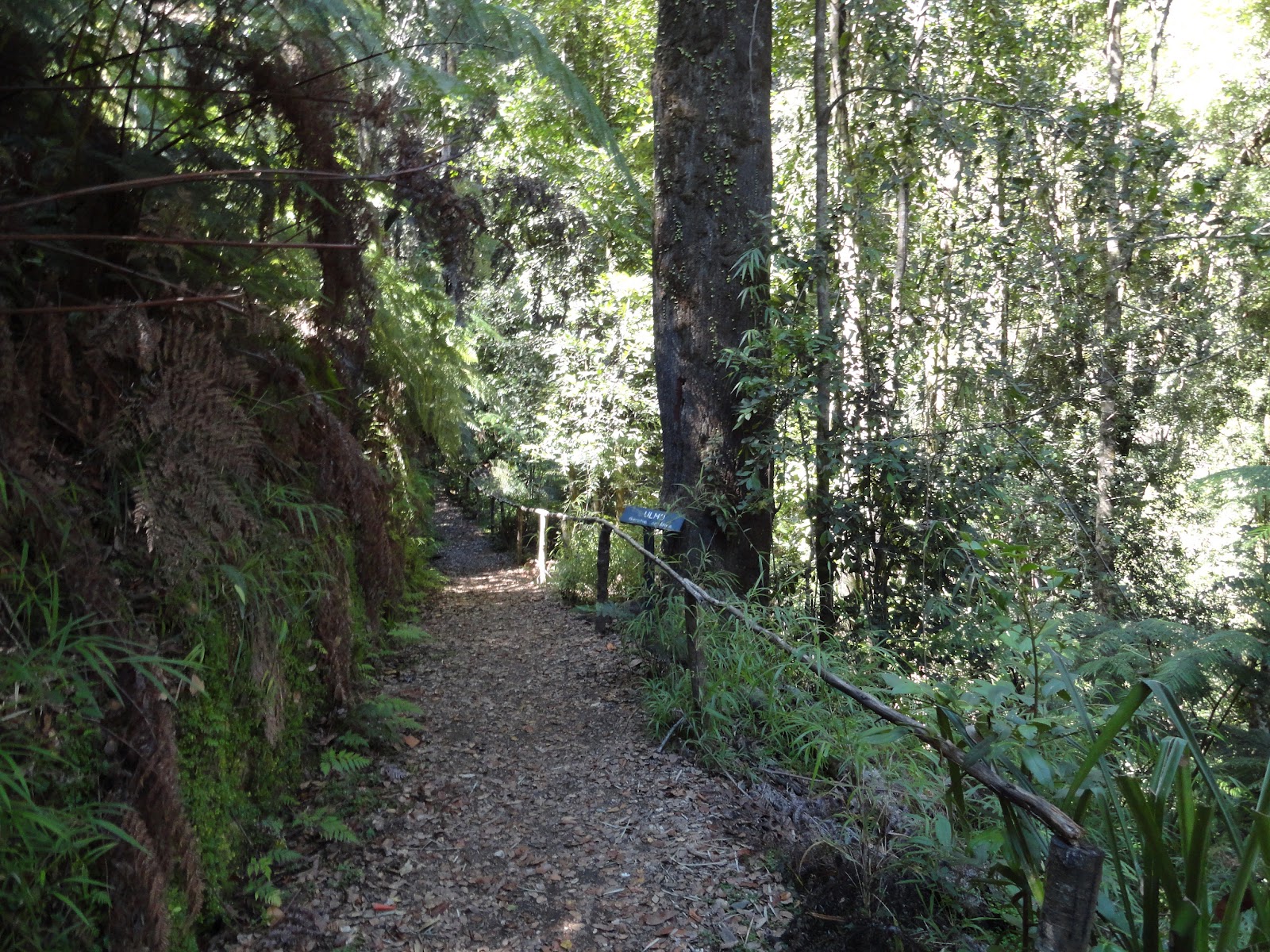 PARQUES DE LA IX REGIÓN DE LA ARAUCANIA - CONAF - CHILE - 2015 ...