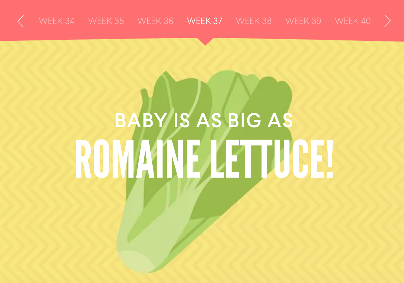 37 Week Bumpdate - Amy's Balancing Act