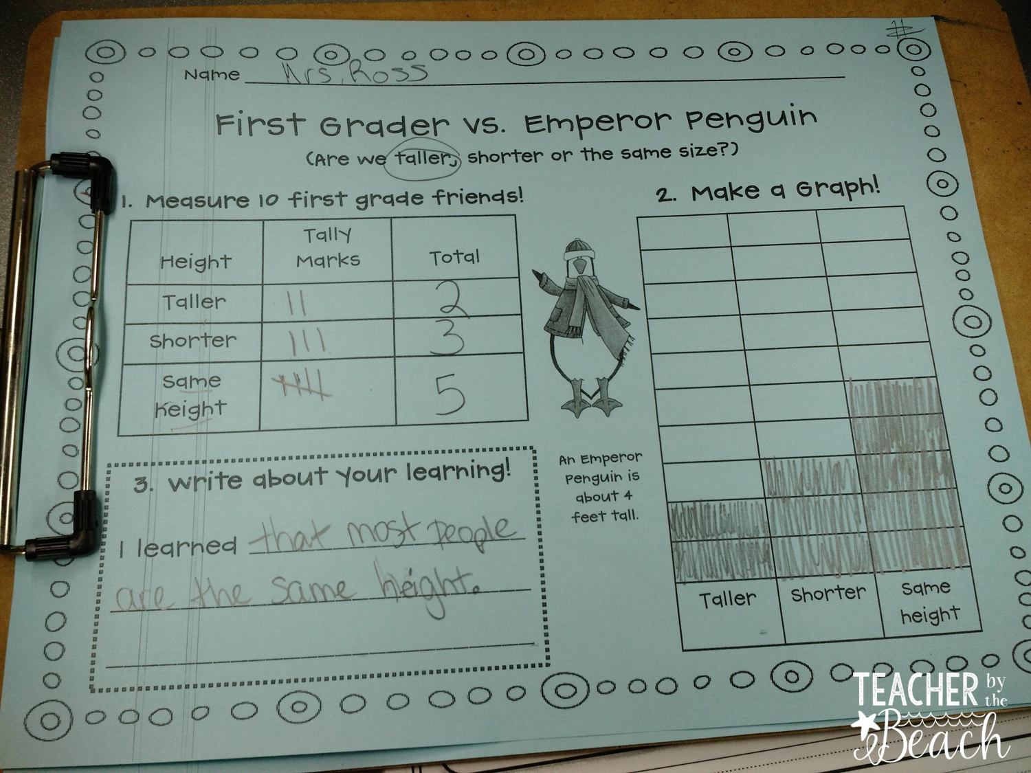 Penguin Week- Part 1 - Teacher by the Beach