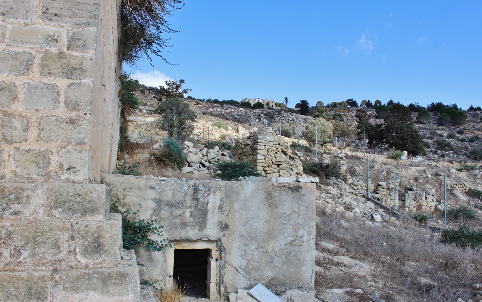 Biodiversity of Cyprus by NGO Protection of the Natural Heritage and ...