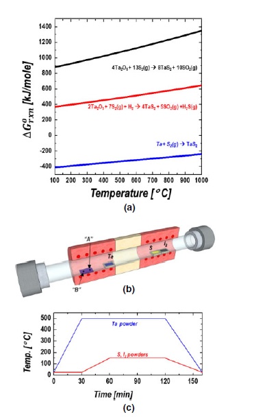 [Paper] Vapor phase synthesis of TaS2 nanocrystals with iodine ...
