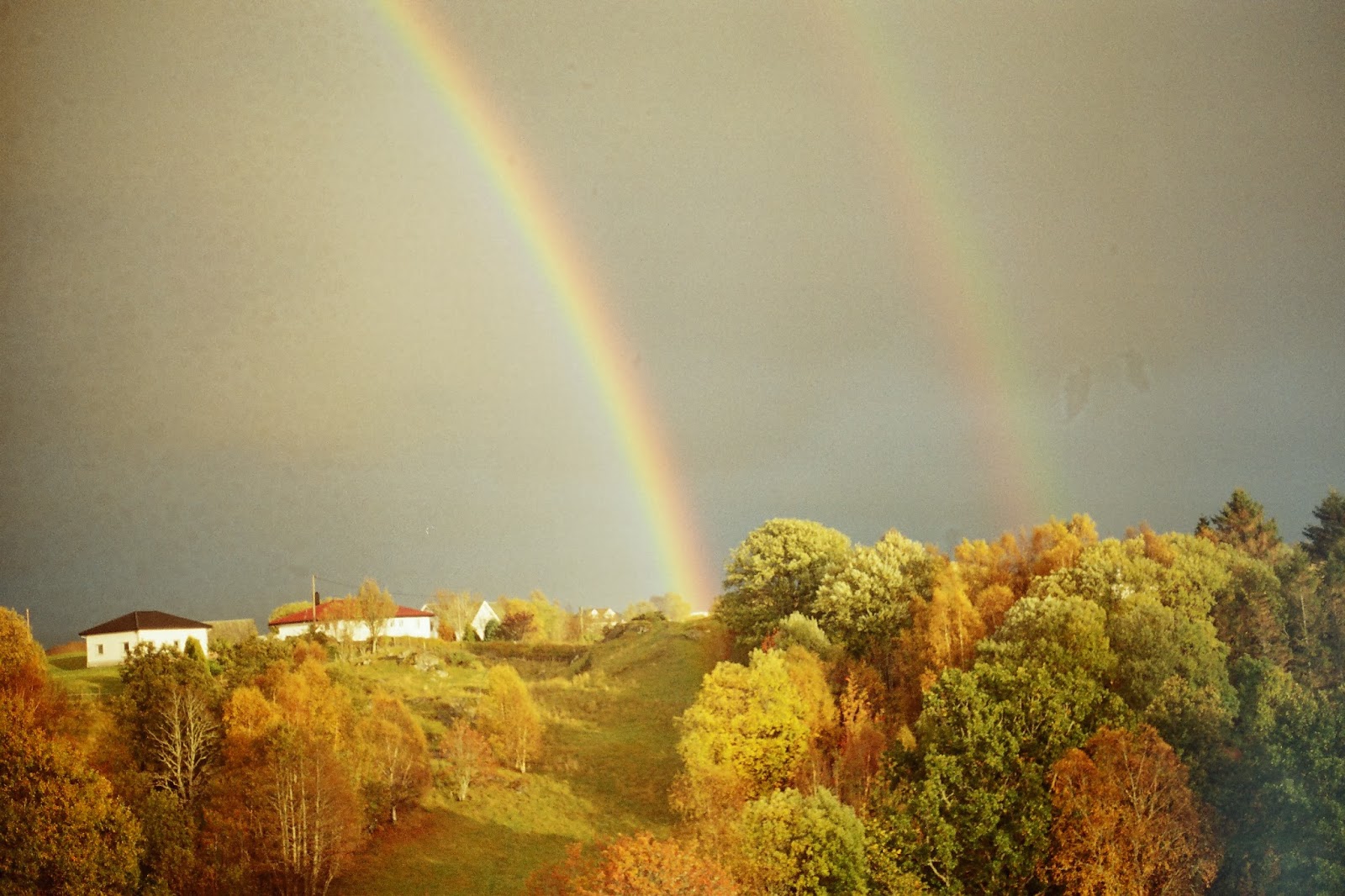 norway's coast in the fall, lygra