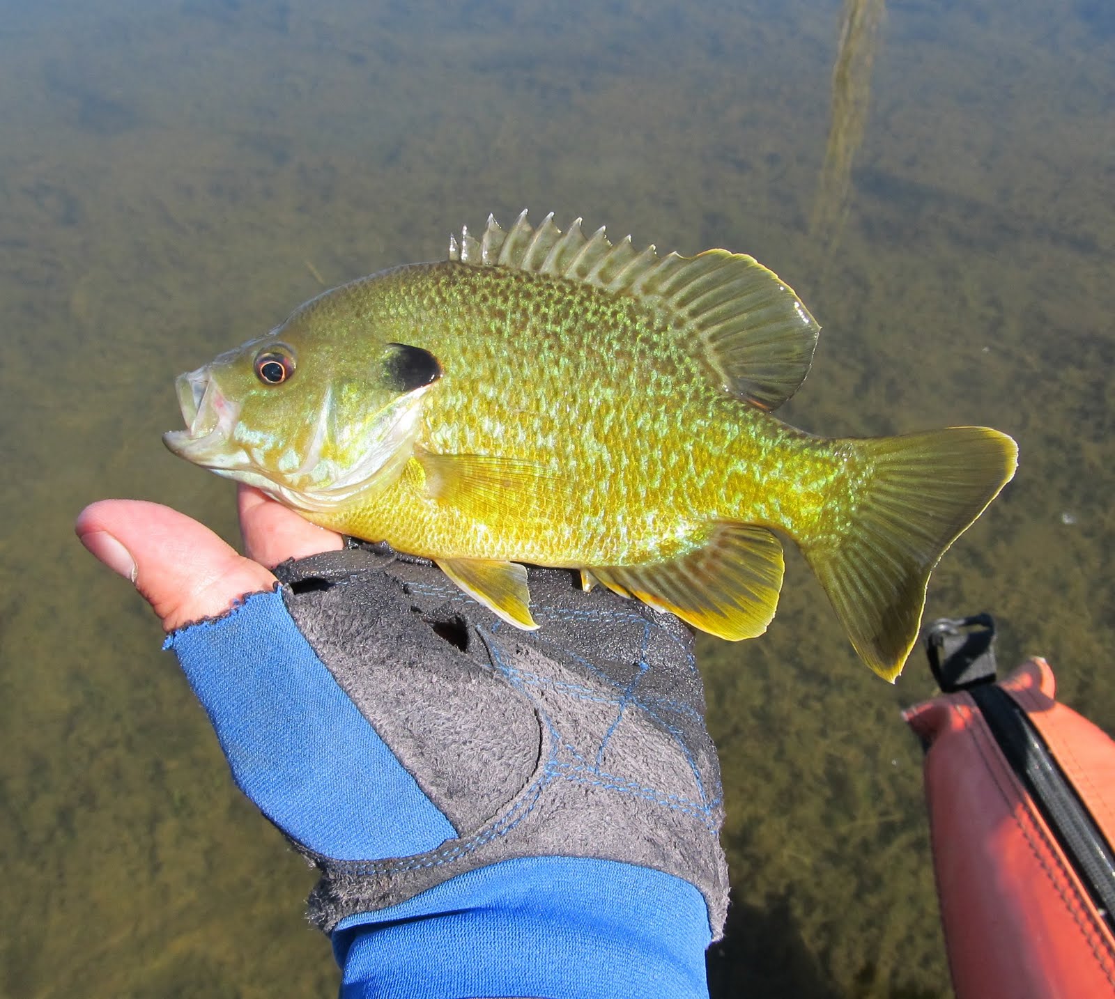 ColoradoCasters: August 2011