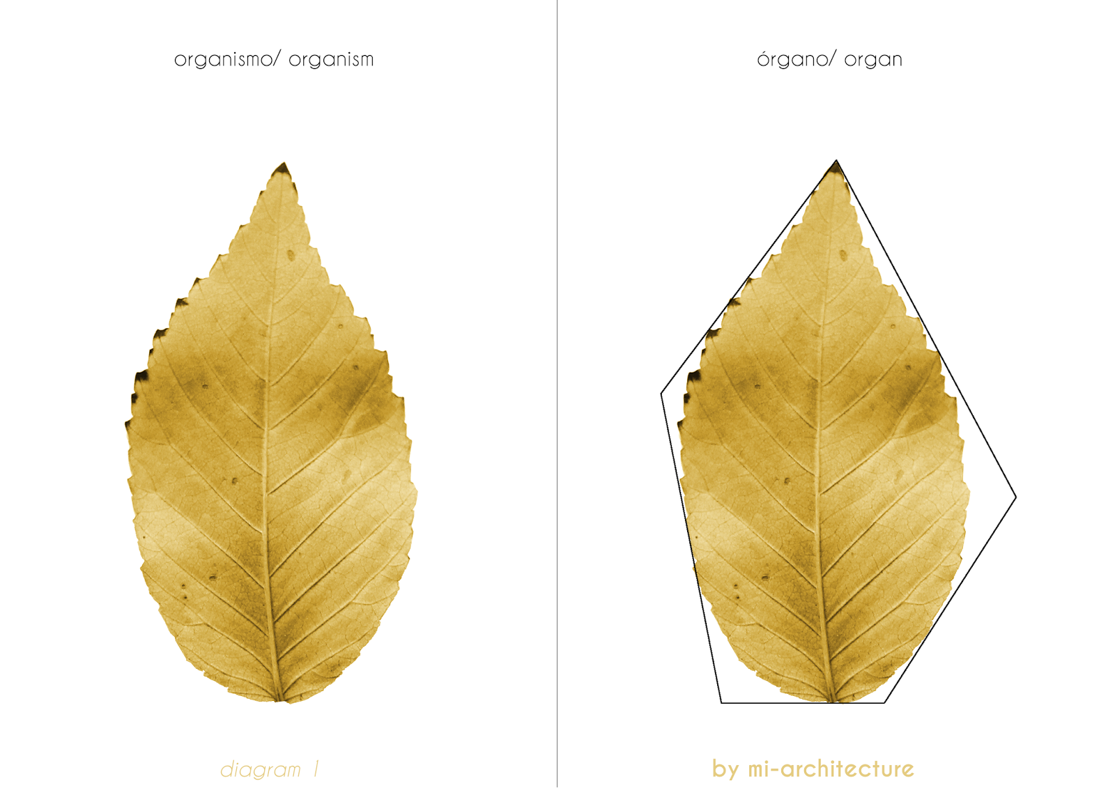 mi-a: Bioinspiración/ Bioinspiration.