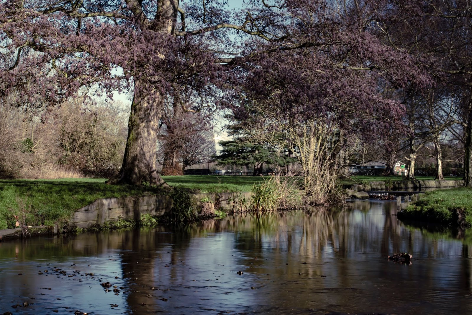 Enjoy your time with beautiful places: Beddington Park - Wallington ...