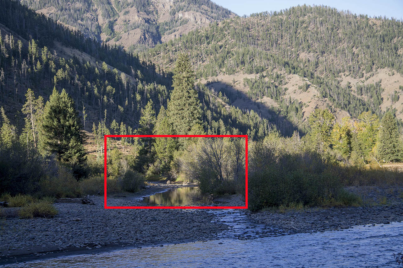 Landscape Artists International: Jimmy Longacre_subjective realist ...