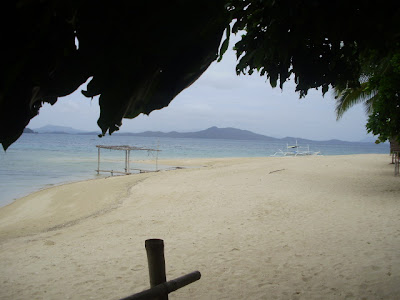 The Roomy Life: Notes from Sandbar Island beach