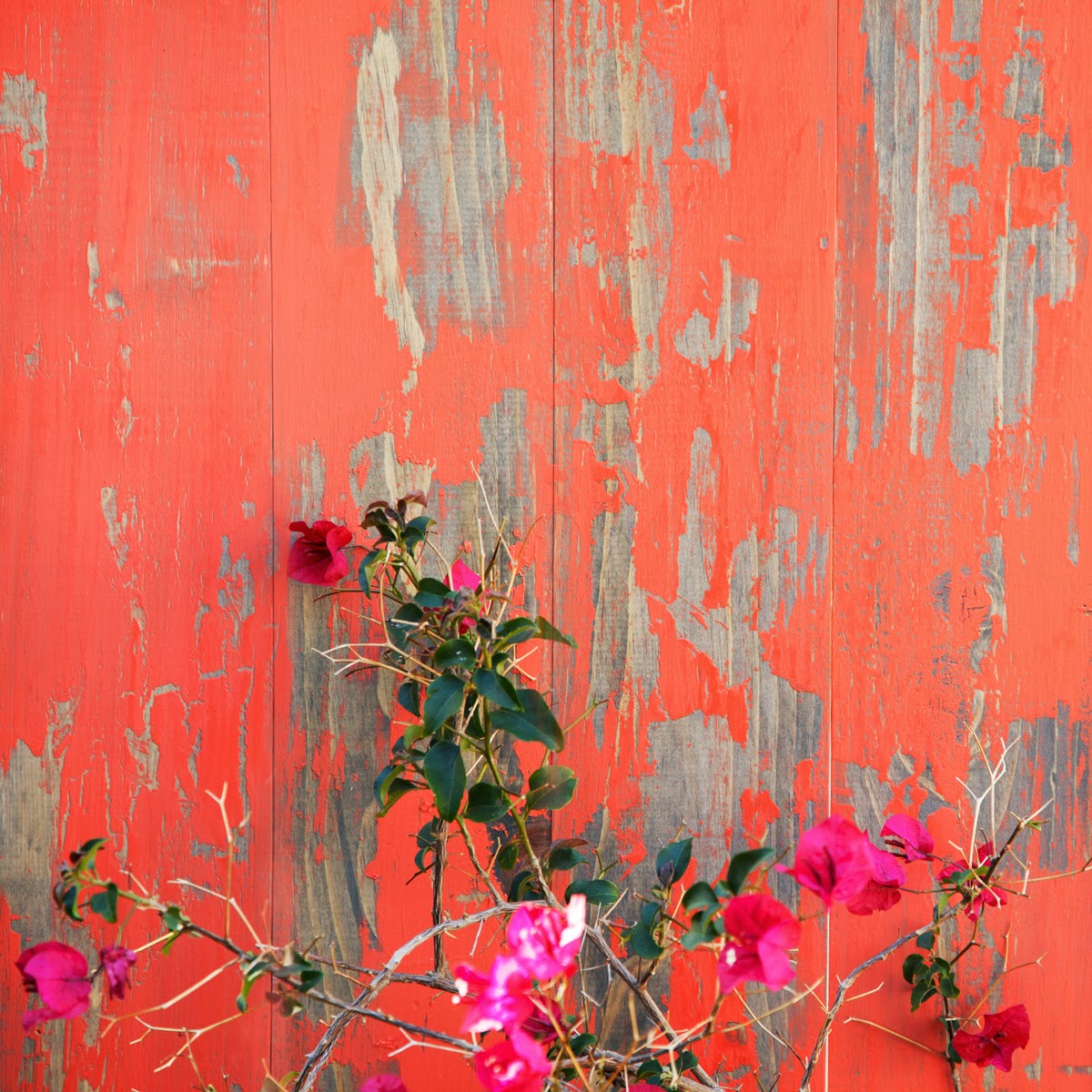 Harvest Timber Blog: Introducing TIMELINE Wood Series