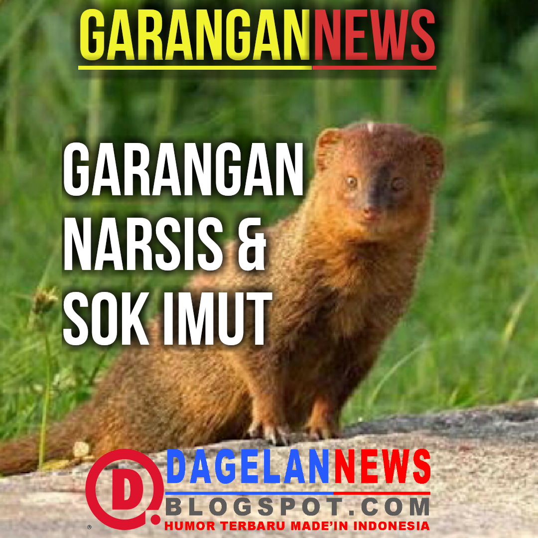 MEME ISTILAH ARTI GARANGAN - DAGELAN NEWS