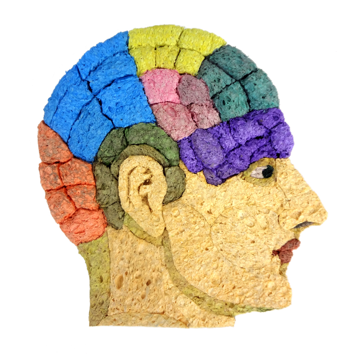 THE DAILY DROID: June 2013