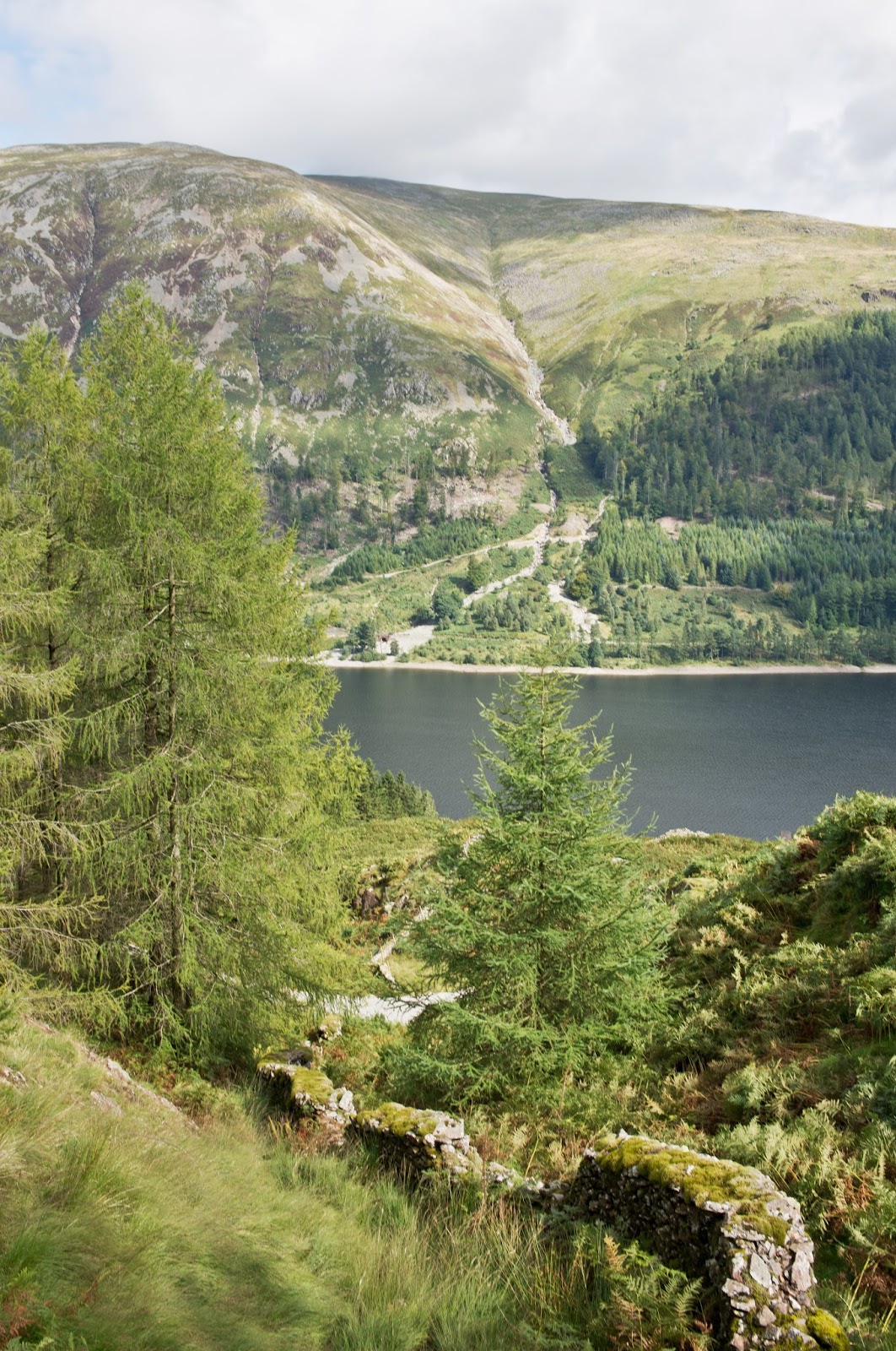 Wigtwizzle - Norman Smith's Travel Blog.: Harrop Tarn and Thirlmere