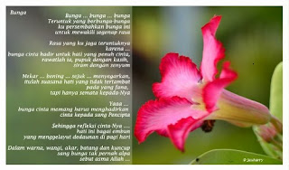 Ini Dia puisi tentang bunga | Puzzle