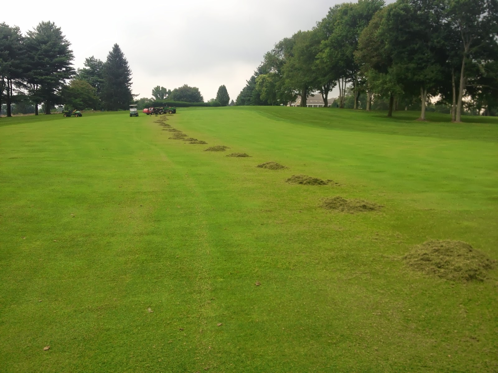 Golf Course Maintenance : More Verticutting and Brushing on Fairways
