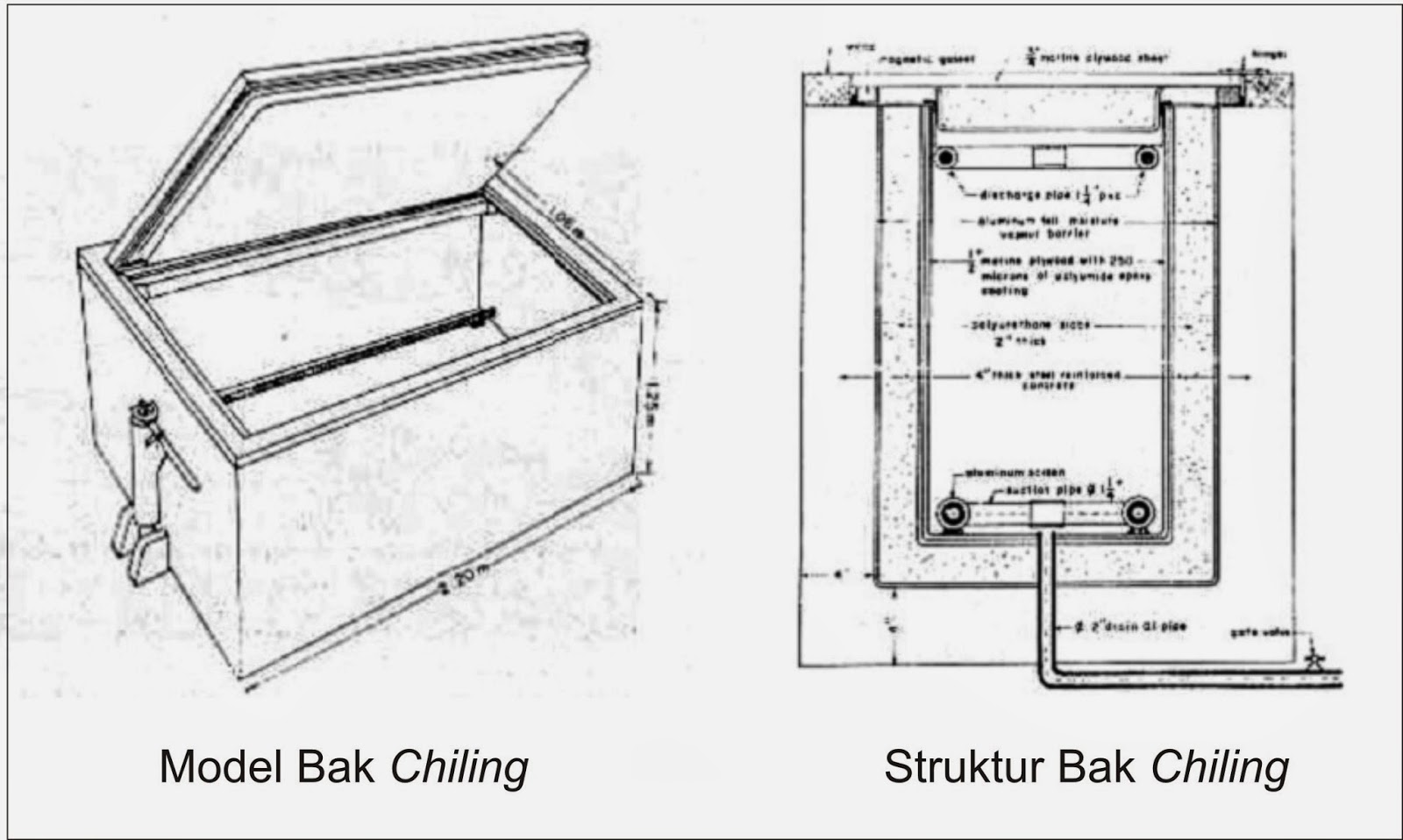 PENANGANAN IKAN DI KAPAL - Lalaukan