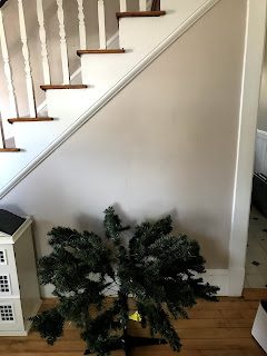 How we picked the perfect tree