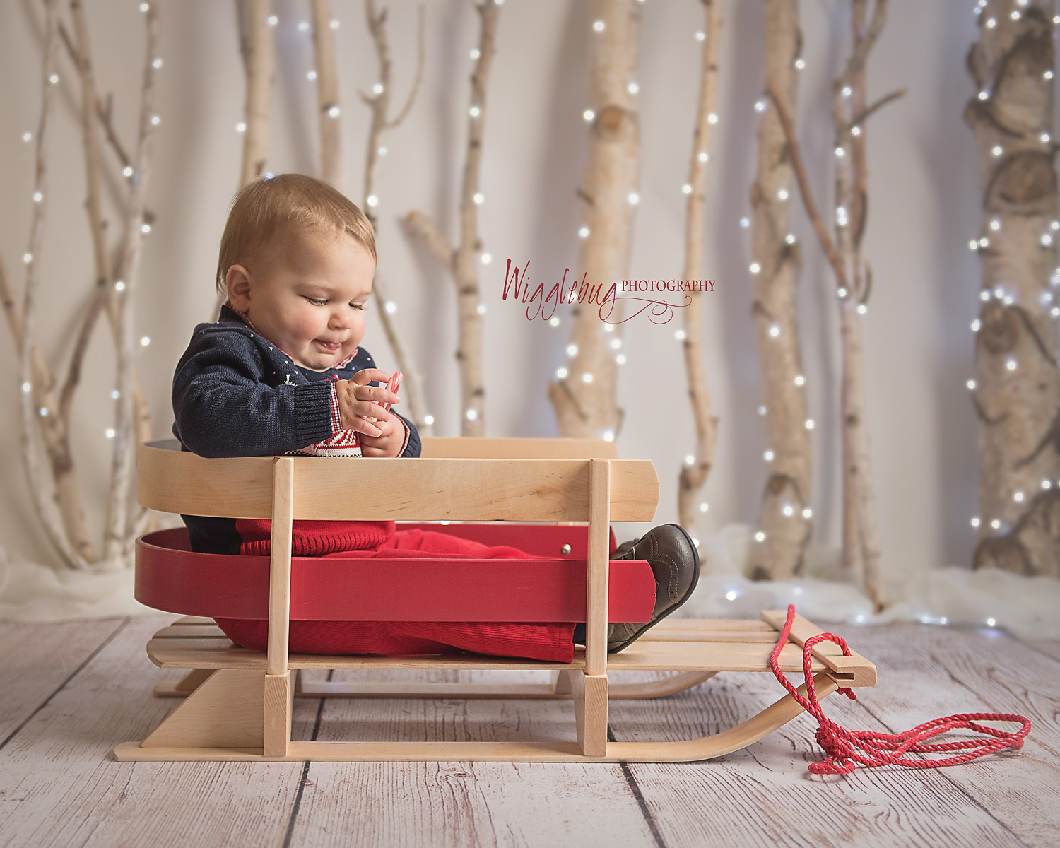 2017 Christmas Mini Sessions | Wigglebug Photography | Newborn ...