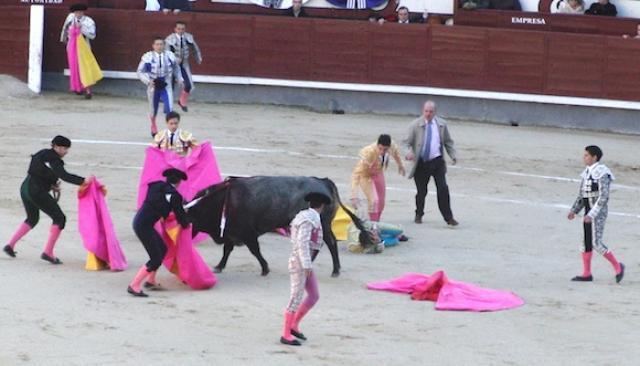 De Hombres,Toros y Caballos: febrero 2013