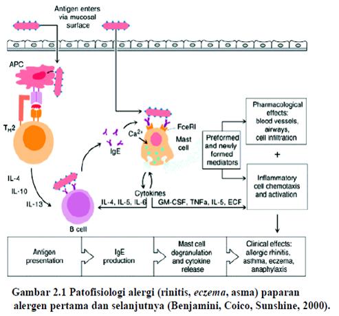 PharmaCare: Rhinitis Alergi