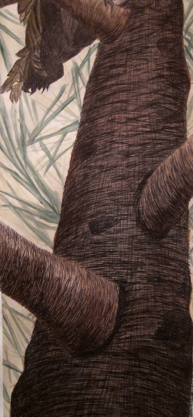 Artist Heather Heitzenrater: Illustration