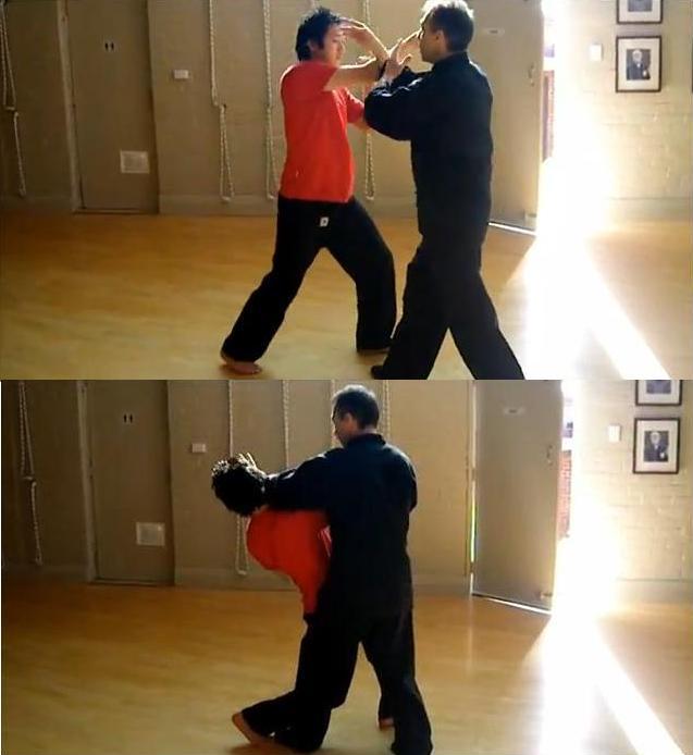 Single whip: Part 2 - general applications