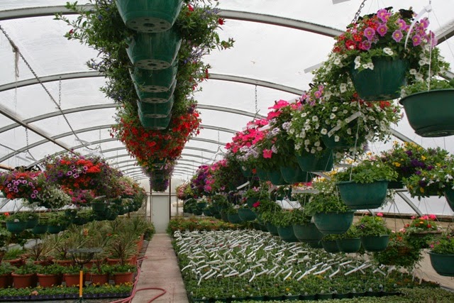 The Flower Bin: April is National Gardening Month