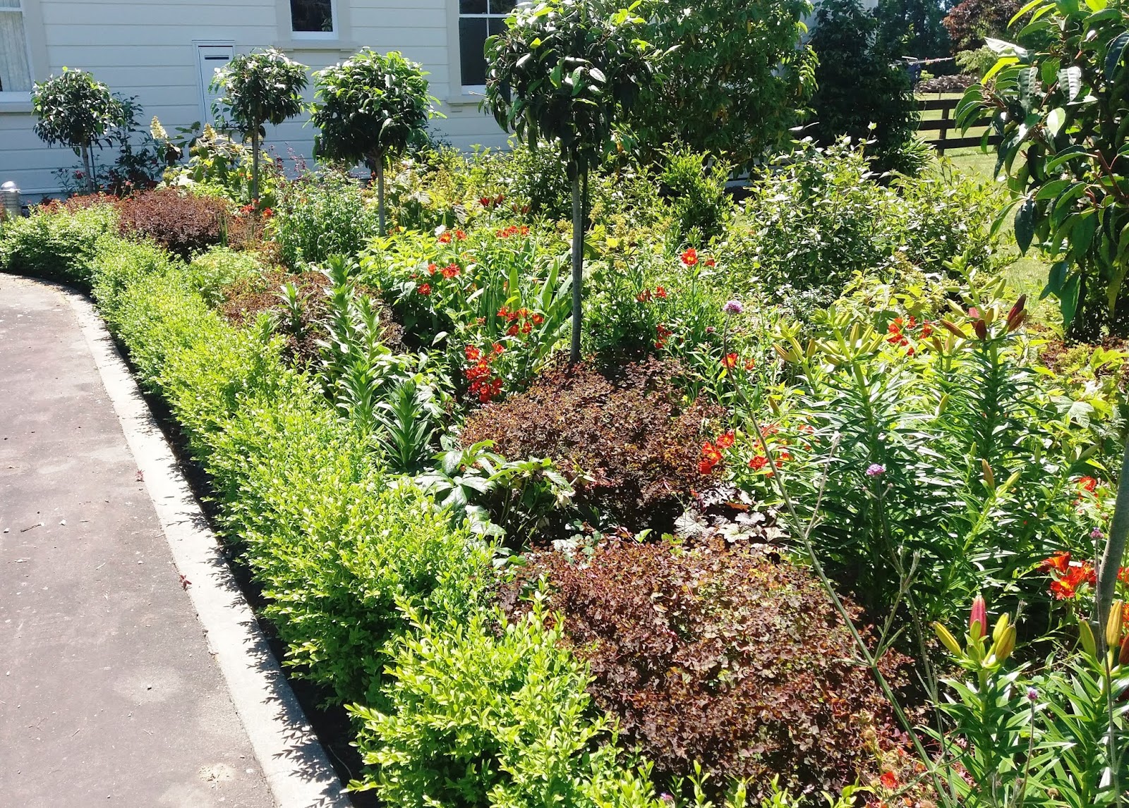 Rachel Callaghan Landscape Architect, NZ: HEDGES, TOPIARY, FORMAL ...