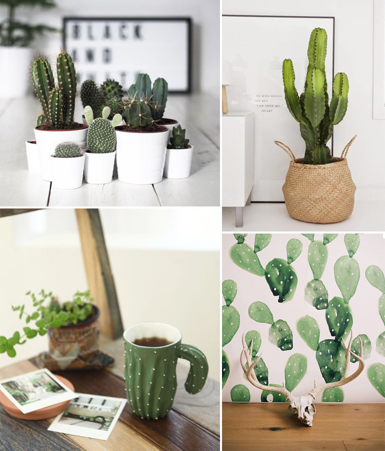Cactus is the new pineapple | Louise Grenadine - blog slow lifestyle à Lyon