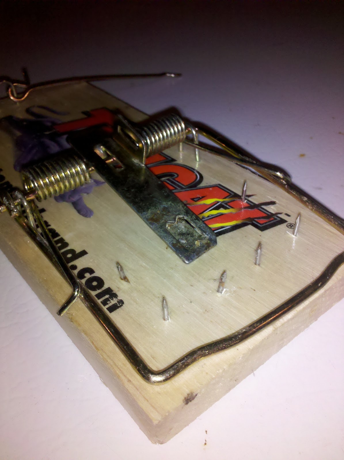 Tech at Mount: DIY: A More Lethal Rat Trap