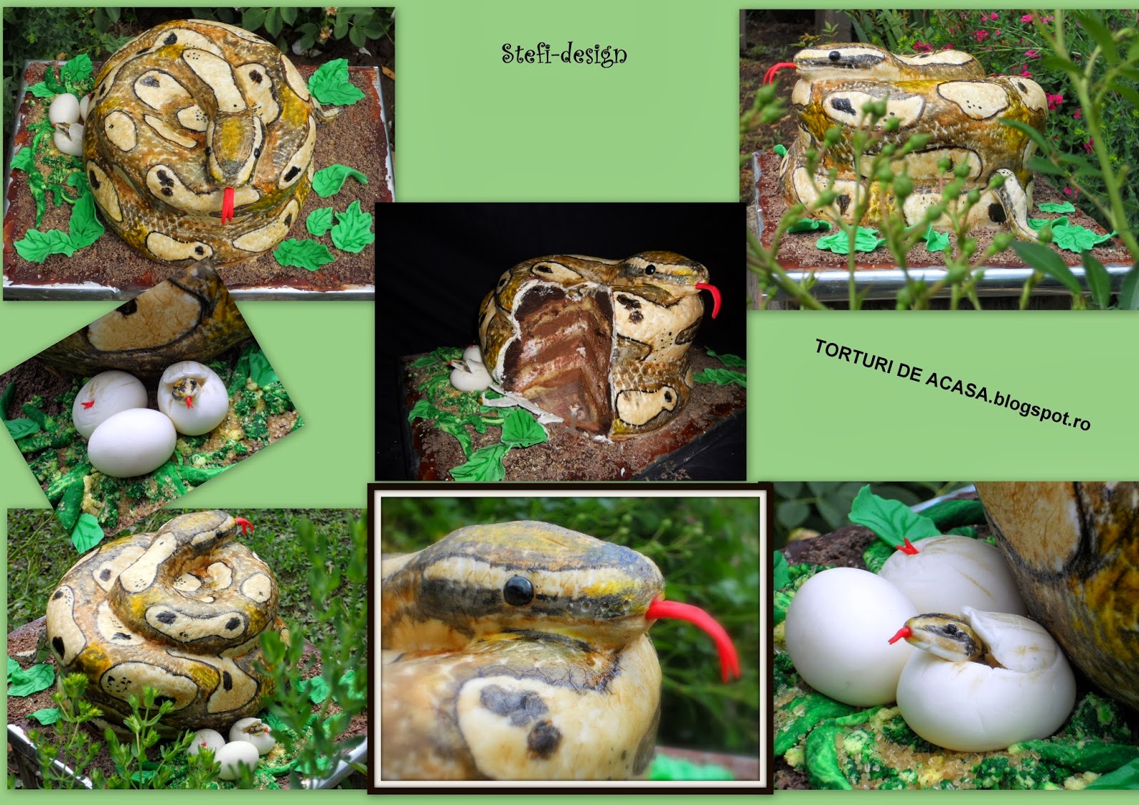 Torturi de acasa: Tort sarpe piton regal