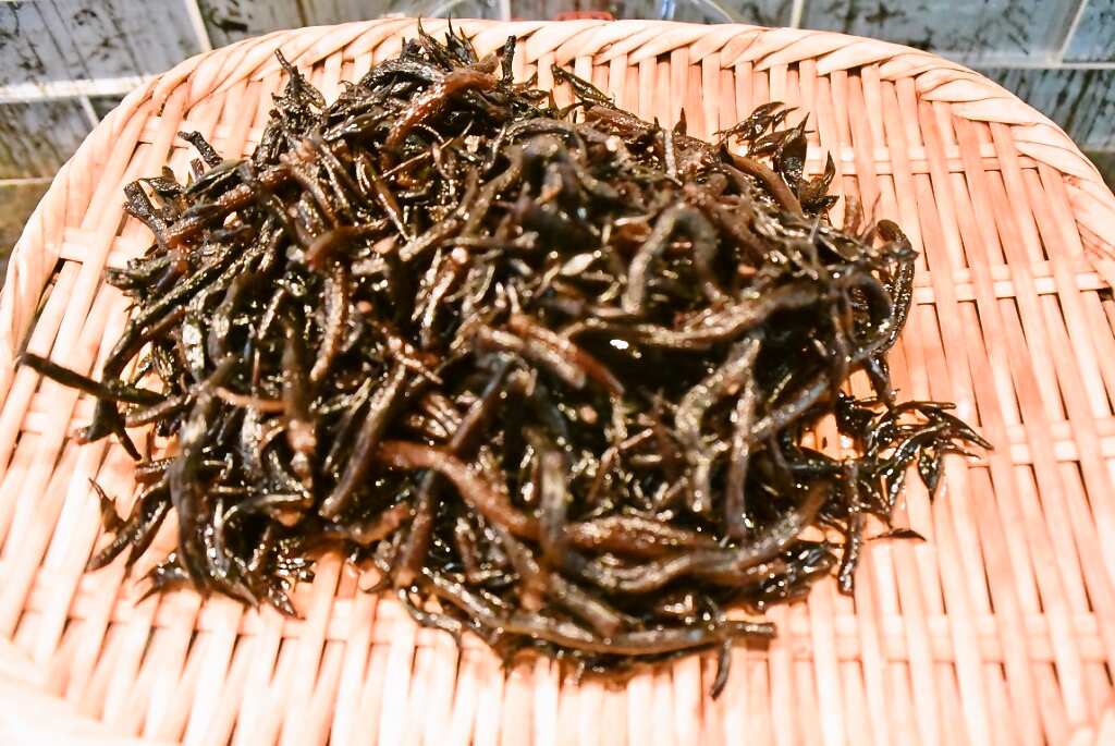 Recipes for Tom: Hijiki no itameni / braised hijiki seaweed