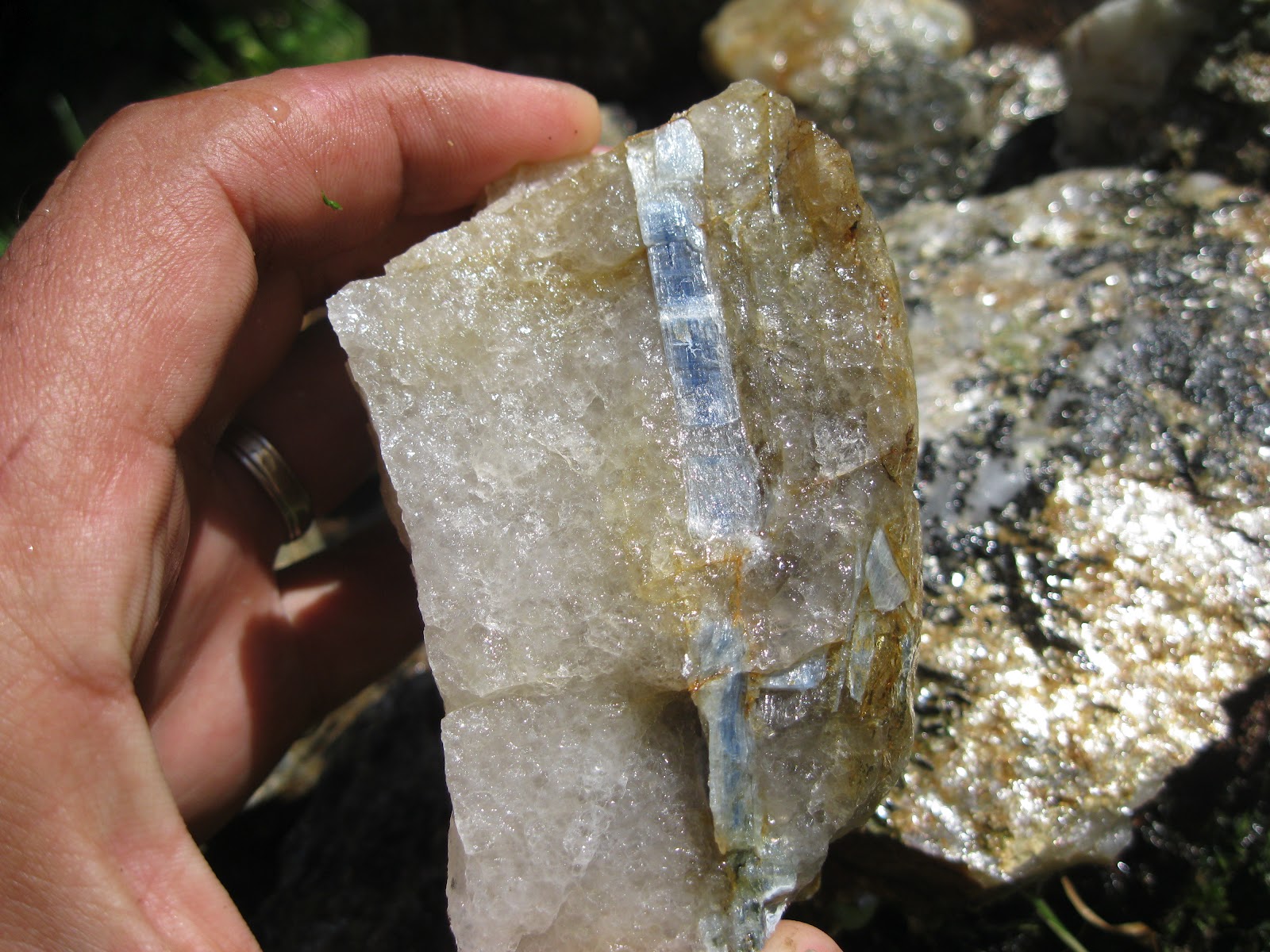 Roci minerale fosile BANAT: Descoperiri de weekend