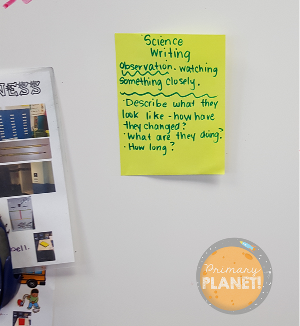 Planet Points: Mini-Anchor Charts! - Primary Planet