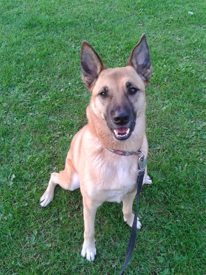 Flora's Post(e): 2014