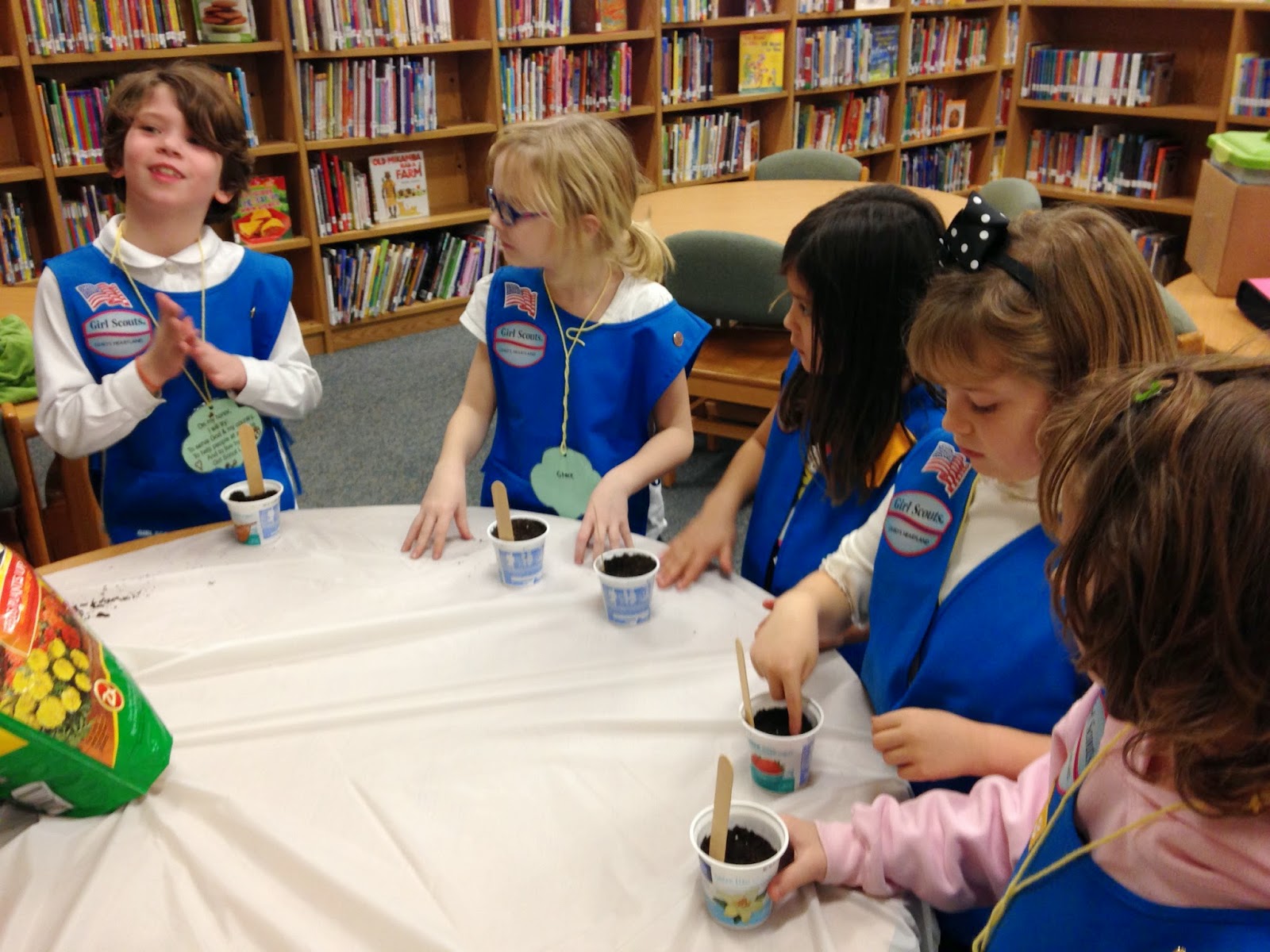 A Crafty Chick: Daisy Meeting 2: Welcome to the Daisy Flower Garden ...