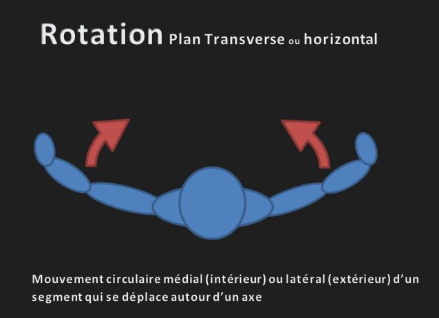 ThStudies: AÉROBIE ET SPINNING