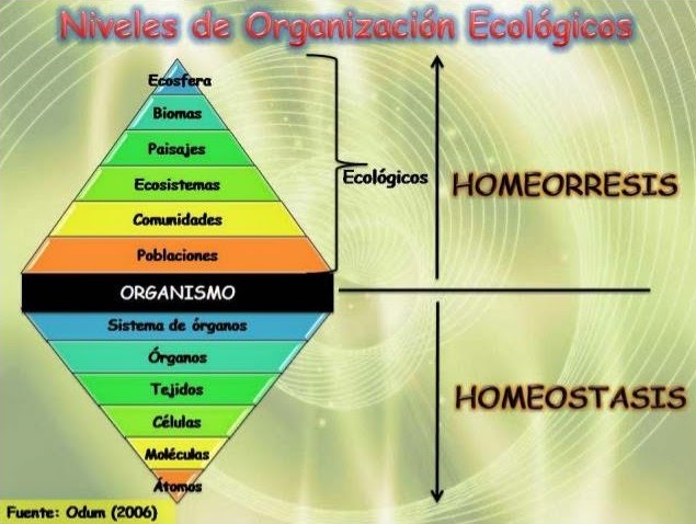 Niveles de Organización Ecológica
