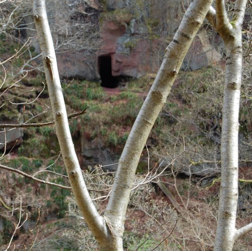 Scotland for the Senses: Welcome to Romantic Roslin Glen