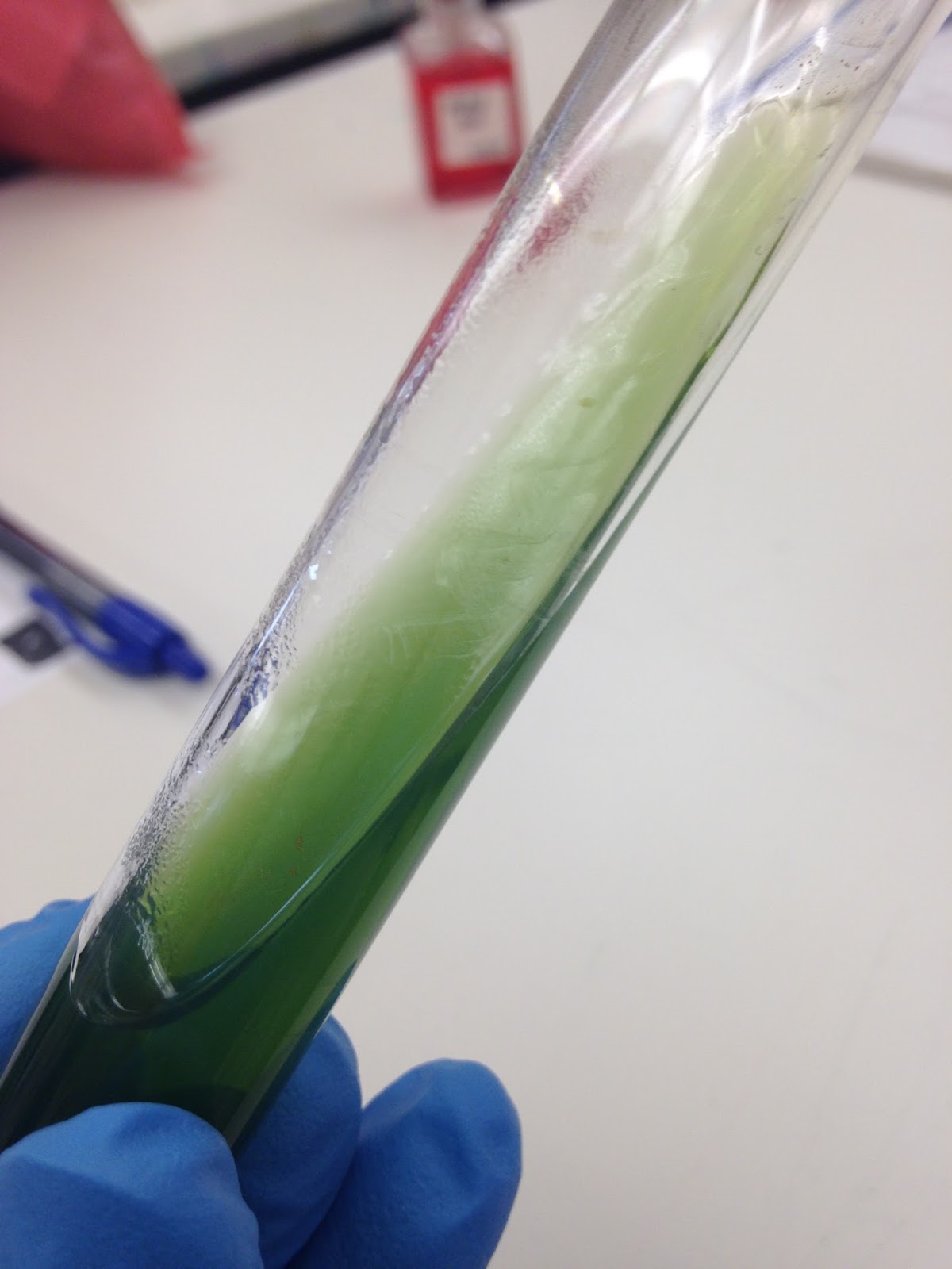 Microbiology Mania: IMViC Tests : Indole, Methyl Red, Voges-Prokauer ...