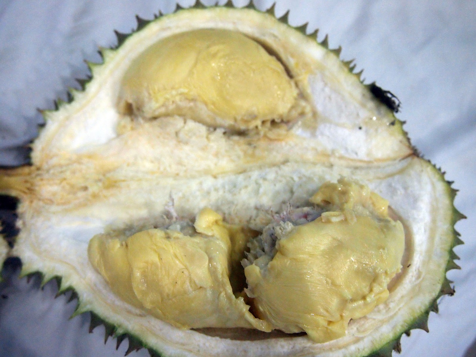 Vietnam Durian Varieties