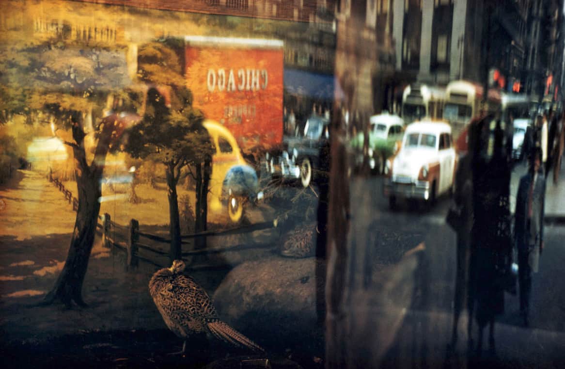 Ernst Haas